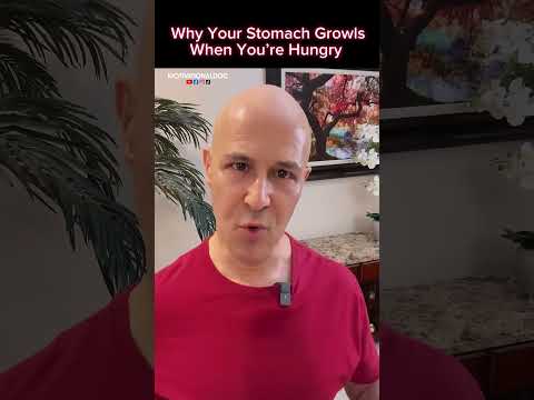 Why Your Stomach Growls When You’re Hungry! Dr. Mandell