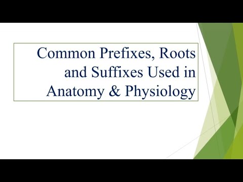 Common prefixes, roots and suffixes used in anatomy and physiology