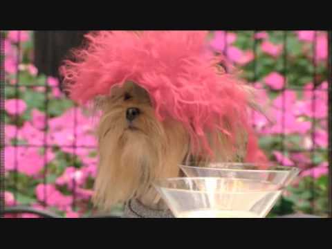 America's Next Princess - Episode 1