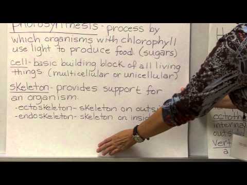 Ms. Melgard's Biology Vocabulary video 1