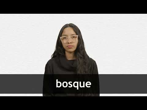 How to pronounce BOSQUE in Latin American Spanish