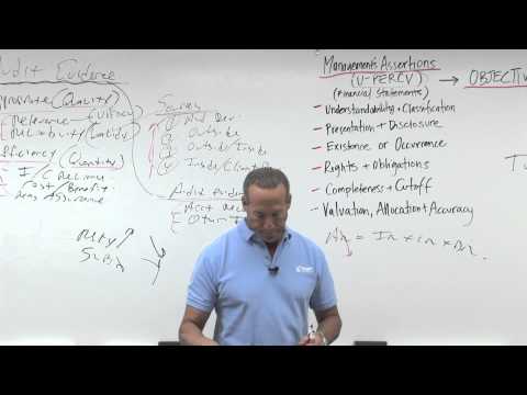 Audit Risk, Financial Statement Level and Assertion Level - Lesson 2