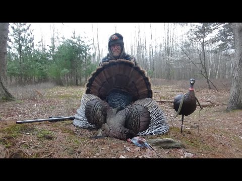 2024 Michigan public land turkey hunt
