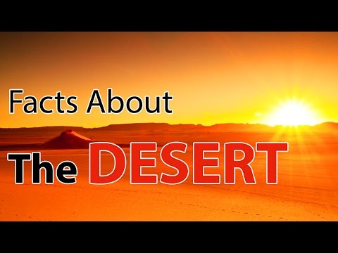 Facts About The Desert