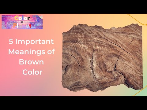 5 Important Meanings of Brown Color