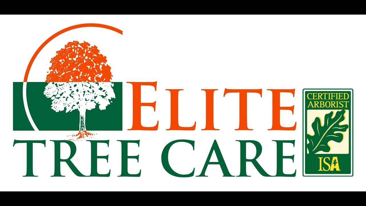 About Elite Tree Care