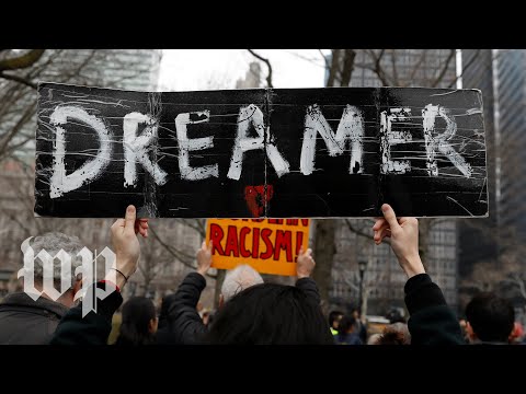 Where do dreamers go from here?