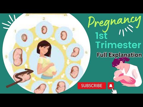 Obstetrical Ultrasound 1st Trimester Lecture 1 Urdu | Hindi
