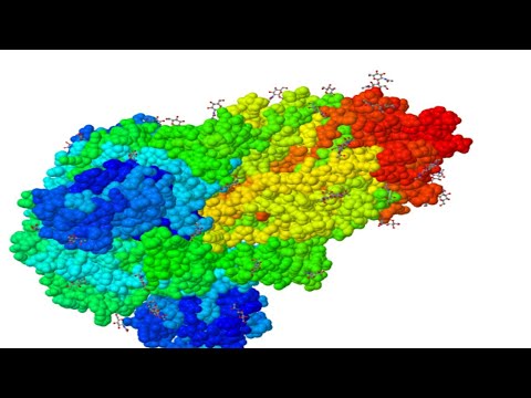 How to see 3 D structure of SARS-CoV-2 from PDB database | Protein Data Bank | #sars