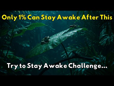 Turn Your Room Into a Rainforest With Natural Sounds of Crickets n Frogs to Calm Your Mind at Night