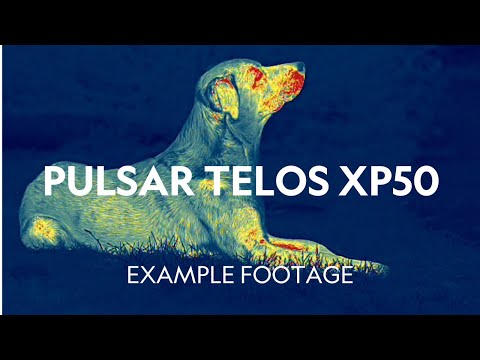 Example Footage | Pulsar Telos XP50 Thermal Imaging Camera
