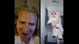 Very Mischievous Indeed - Mischievous Creature - Fimfiction