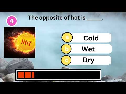 "The Opposite of Hot Quiz: MCQ Exploration"