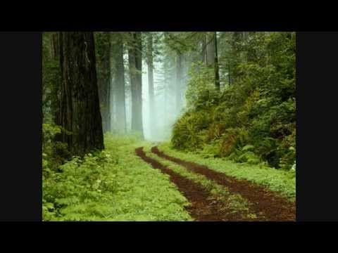 Windows Vista sample pictures HD
