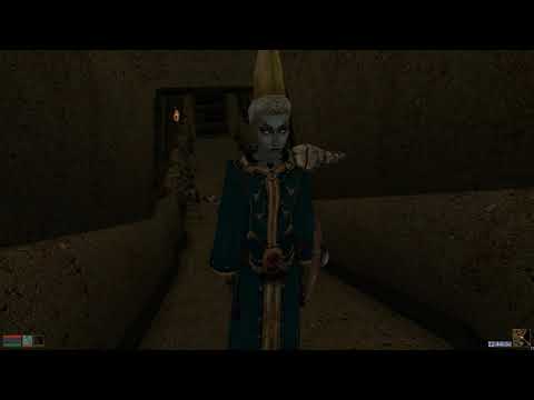 Inspecting the SLAVES at VON SLAVE MARKET - The Elder Scrolls III: MORROWIND - Von Slave Market-MOD