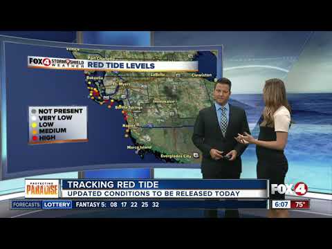 Expecting new red tide maps on Friday