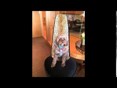 Tour our office - Southwest Michigan's #1 Choice