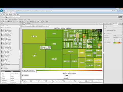 SAS Visual Analytics Use Case for Fraud