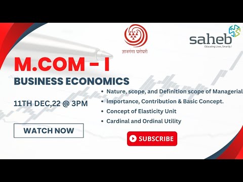 What do you mean by business economics?
