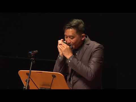 Harmonica - Duettino