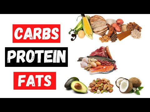 Carbs Protein Fat Explained!