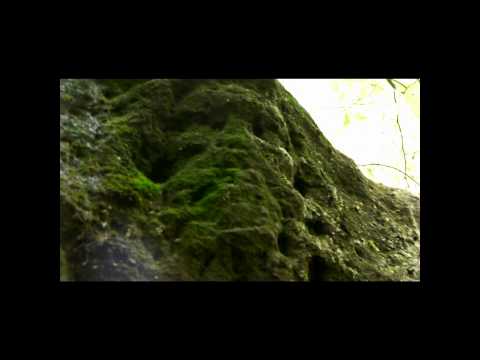 The Wizard's Well