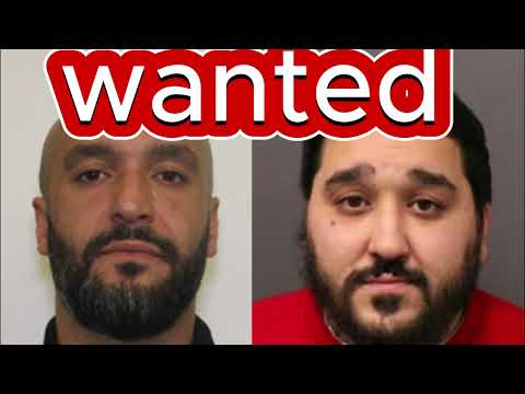 breaking news 13 arrested, 2 at large as police seize more than $3.5M of psychedelic drugs