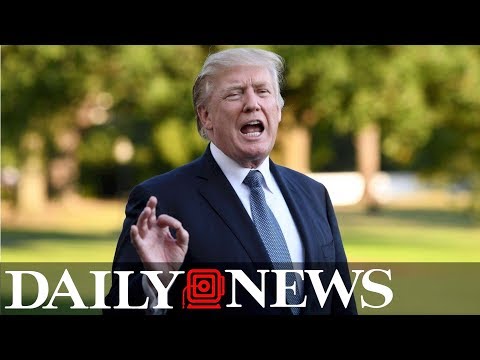 Dictionary names this Trump phrase its word of the year