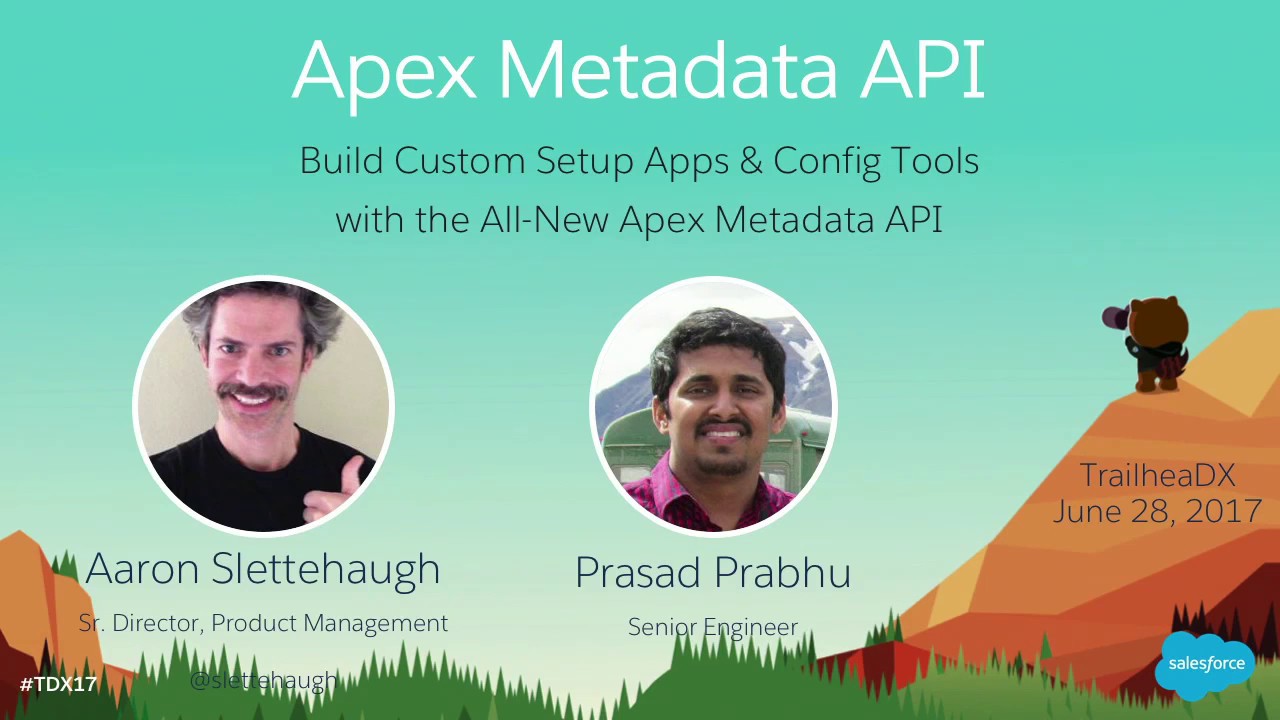 Build Custom Setup Apps & Config Tools with the All-New Apex Metadata API