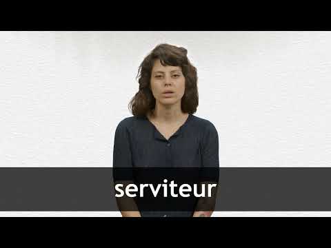 English Translation of “SERVITEUR” | Collins French-English Dictionary