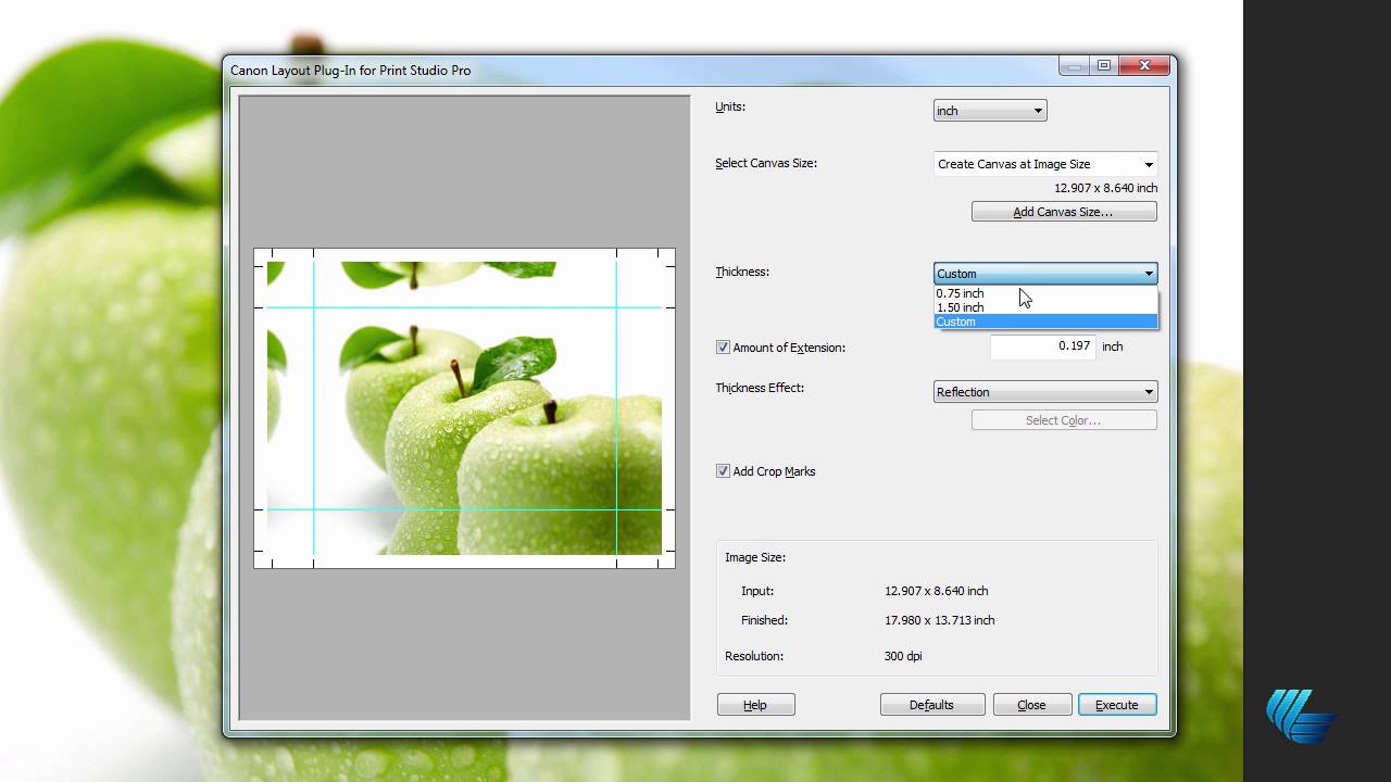 Canon Pro Series Printers - Layout Plug In for Print Studio