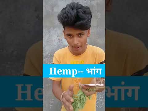 भांंग का इंग्लिश क्या होगा।। bhang ko english mein kya kahate hain #shorts