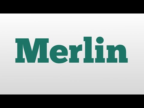 Merlin meaning and pronunciation