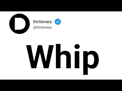 Whip Meaning In English