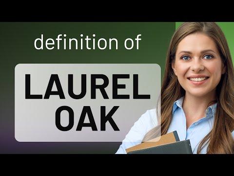 Laurel oak | what is LAUREL OAK meaning