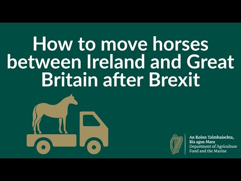 How to move horses between Ireland and Great Britain after Brexit
