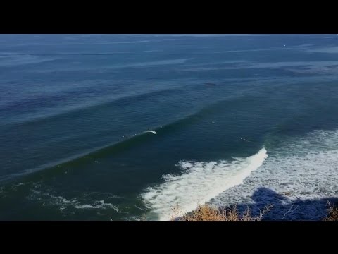 - Palos Verdes Indicator 1 [SurfSpot Video]