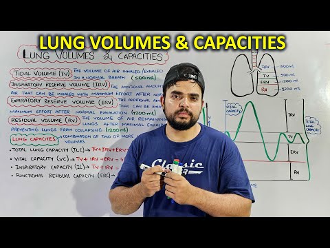 Lung Volumes and Capacities: Essential Concepts for Respiratory Function