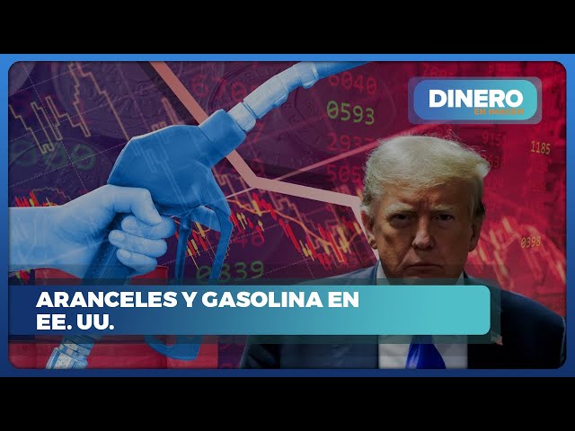 Mercados ¡todo Un CampeÓn El Peso Precio Del Dólar Hoy Domingo 1 De 8643