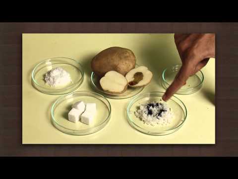Test for starch | Food chemistry | Chemistry