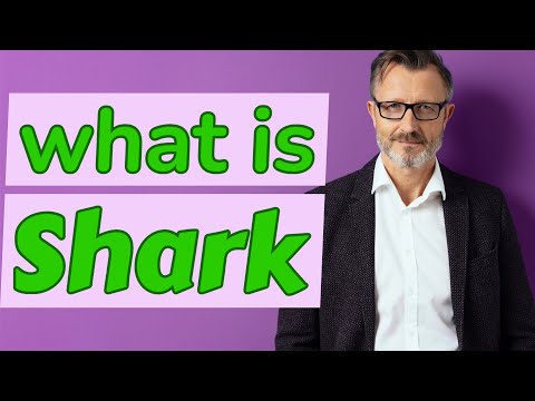 Shark | Meaning of shark