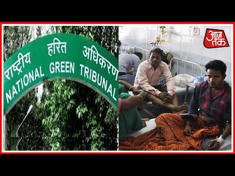 NGT Slams NDMC And MCD Over Rising Crisis Of Dengue And Chikungunia