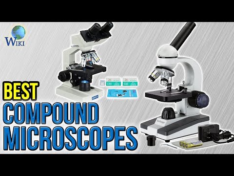 Compound Microscope - Bright-Field Microscope Latest Price ...