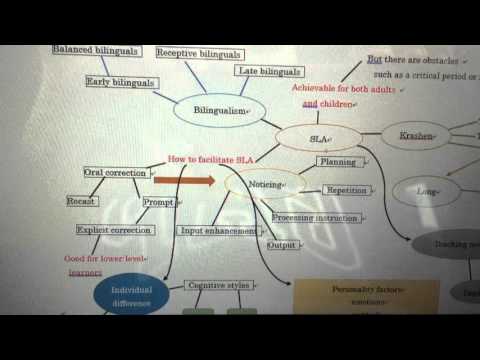 Yumiko SLA concept map final version