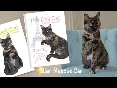 The Doll Cat Book Series - Tortie Cat Rescue Stories