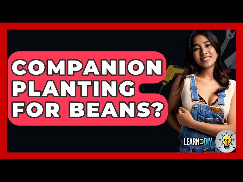 Companion Planting For Beans? - LearnToDIY360.com
