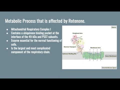 Rotenone: The Toxic Chemical that Kills Our Fish