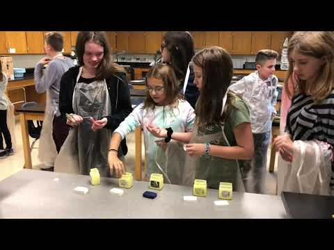 Making Mold & Cast Fossils in Mrs. Davis’ Science Class