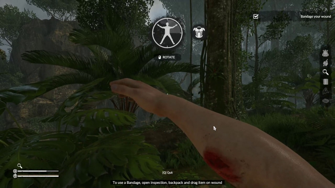 Green Hell: Infest your wounds with maggots simulator - Games - Quarter ...