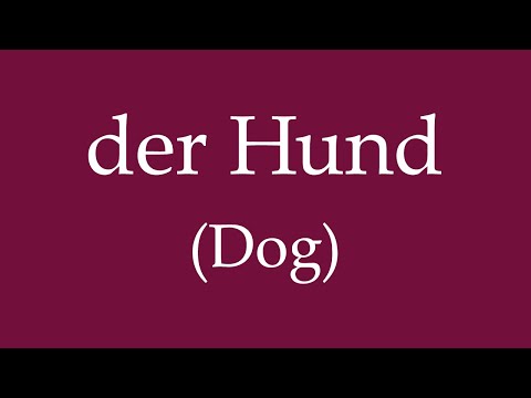 How To Say 'Dog' (der Hund) in German